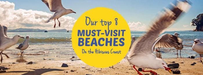 8 Top Hibiscus Coast Beaches & What to Eat There